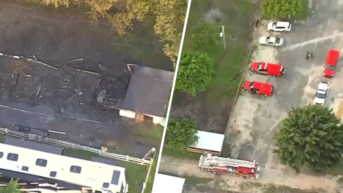 Horse dies in Coconut Creek barn fire: Police – NBC 6 South Florida