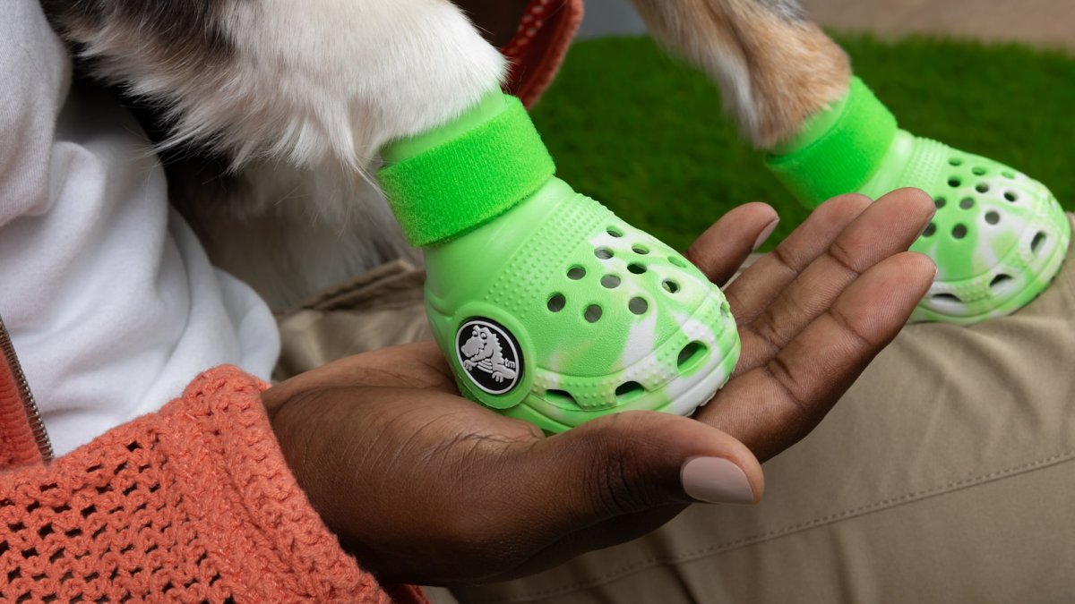 Crocs launches Pet Crocs for dogs – NBC 6 South Florida