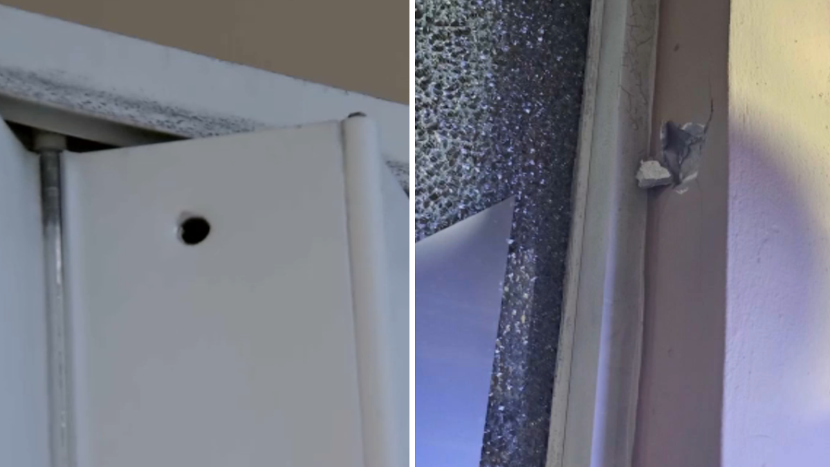 Owners describe fear after Cutler Bay businesses damaged by bullets ...