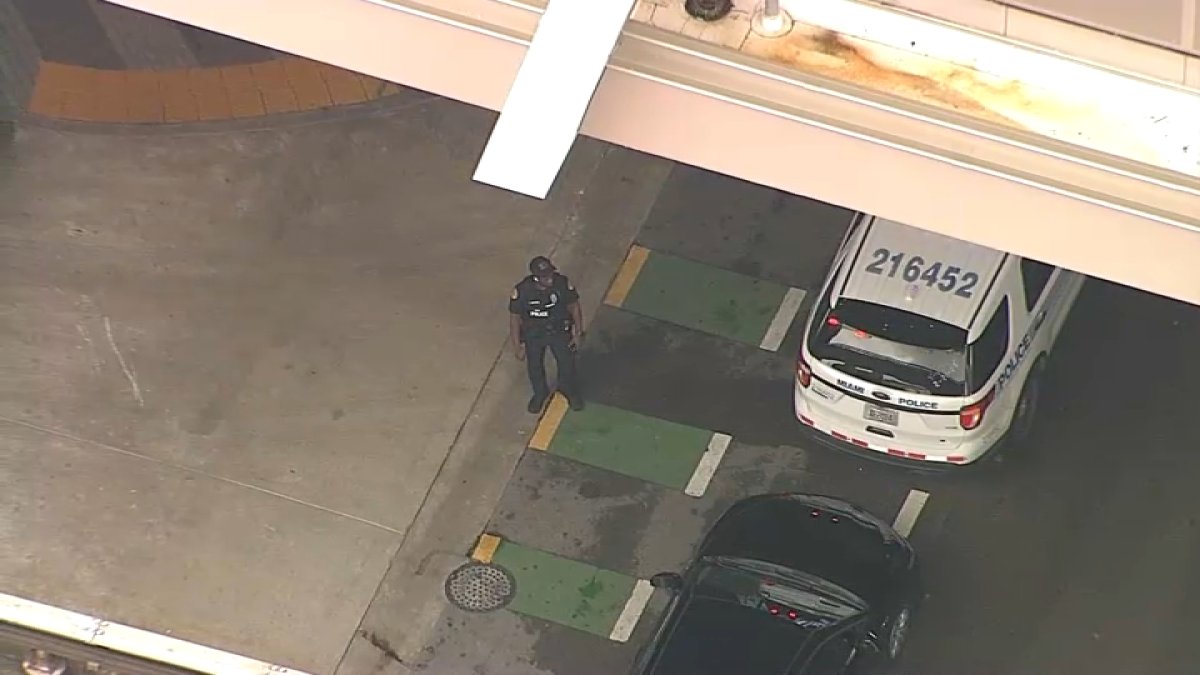 Apparent human remains found in downtown Miami: Police – NBC 6 South ...