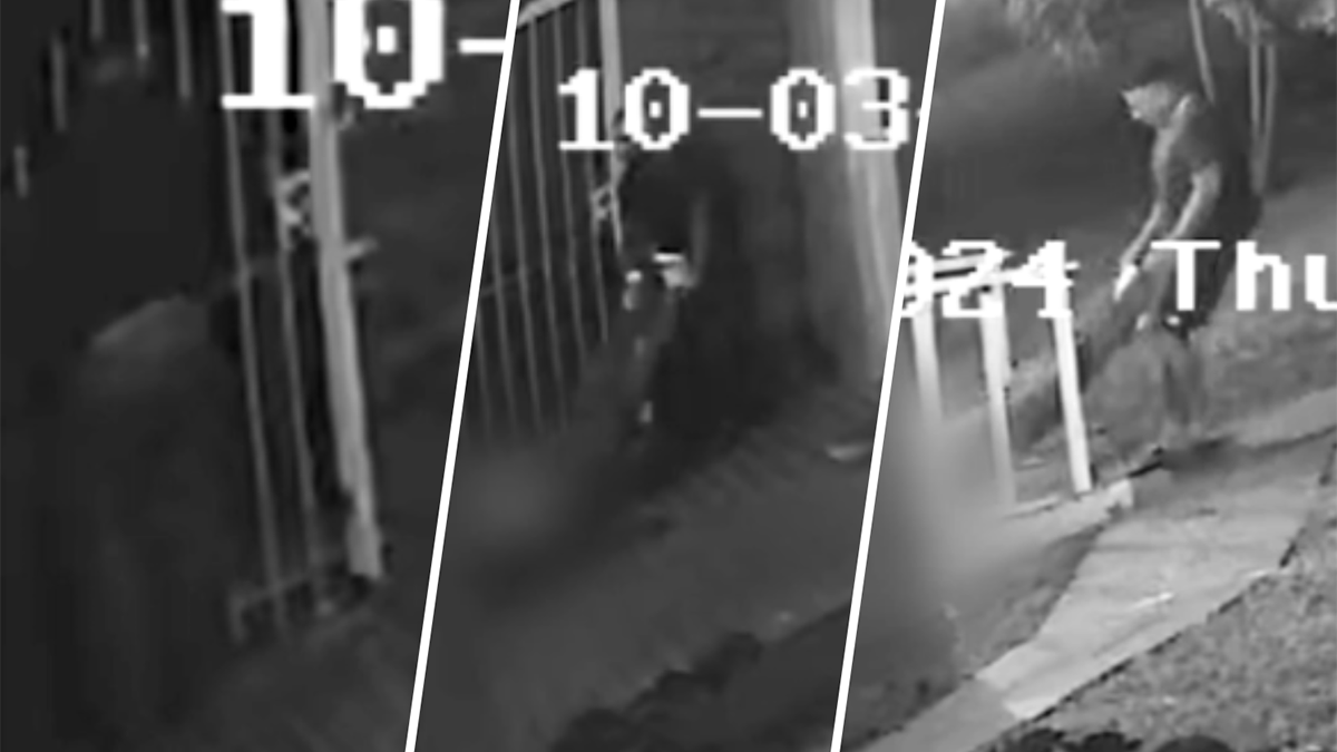 New Video shows killing of Cuban singer El Taiger in Hialeah – NBC 6 ...