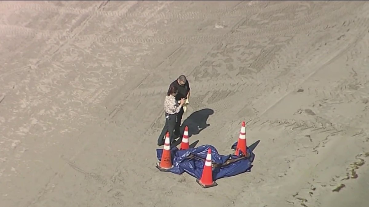 Human Head Washes Ashore On Key Biscayne Nbc 6 South Florida