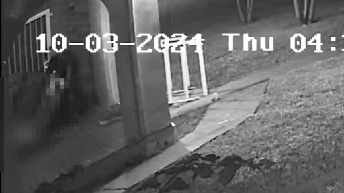 Shocking new video shows fatal shooting of Cuban singer El Taiger in ... Shocking new video shows fatal shooting of Cuban singer El Taiger in ...