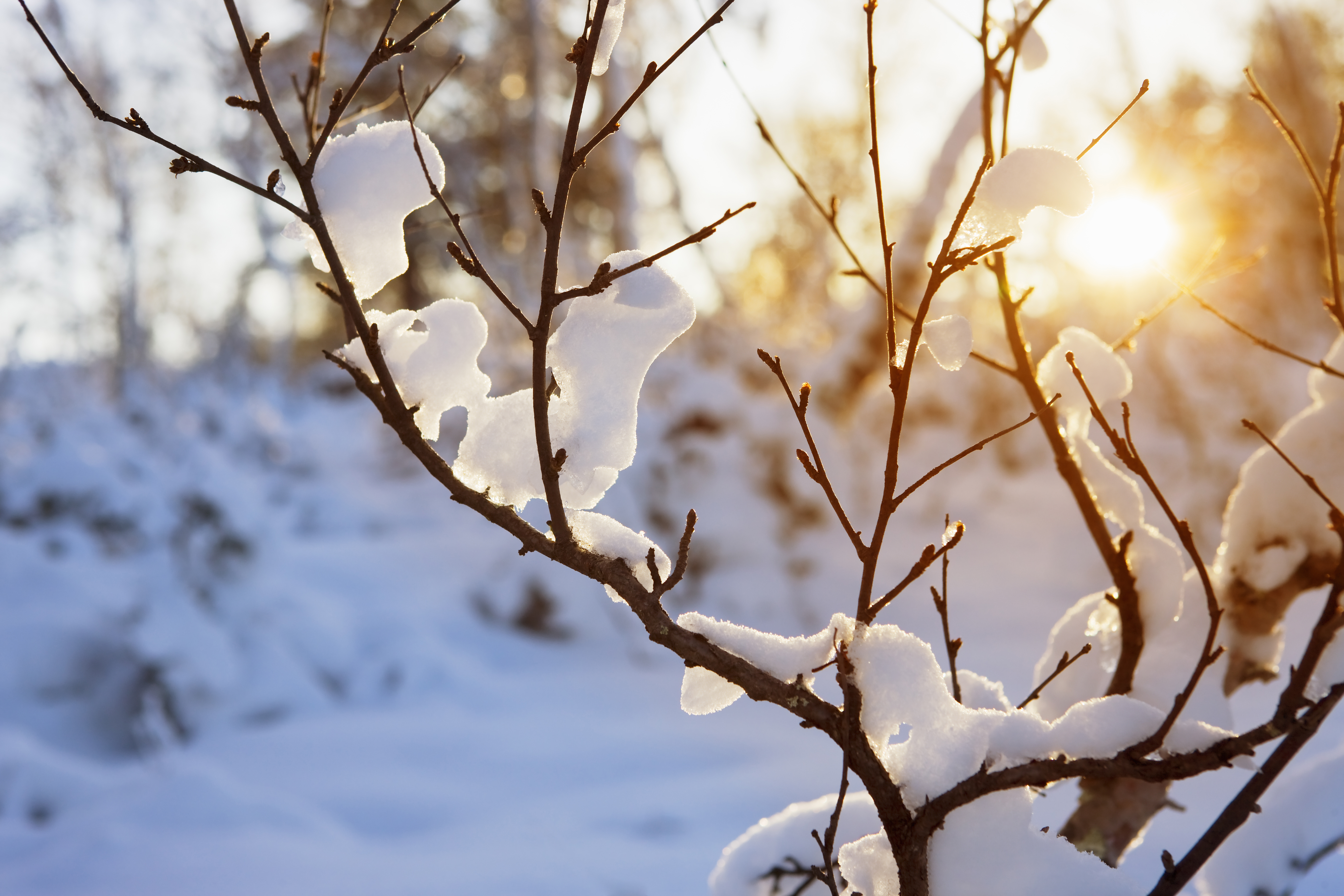What is the winter solstice and when is it? Here’s what to know – NBC 6 ...