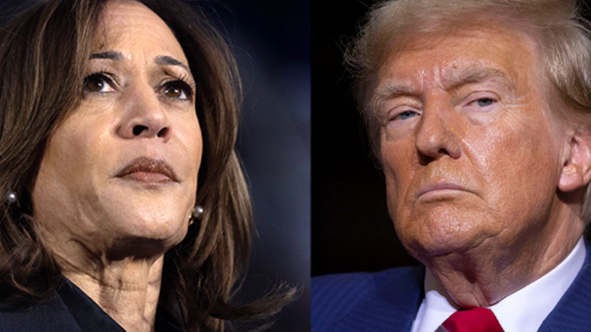 2024 U.S. election results live: Track the latest polls – NBC 6 South ...