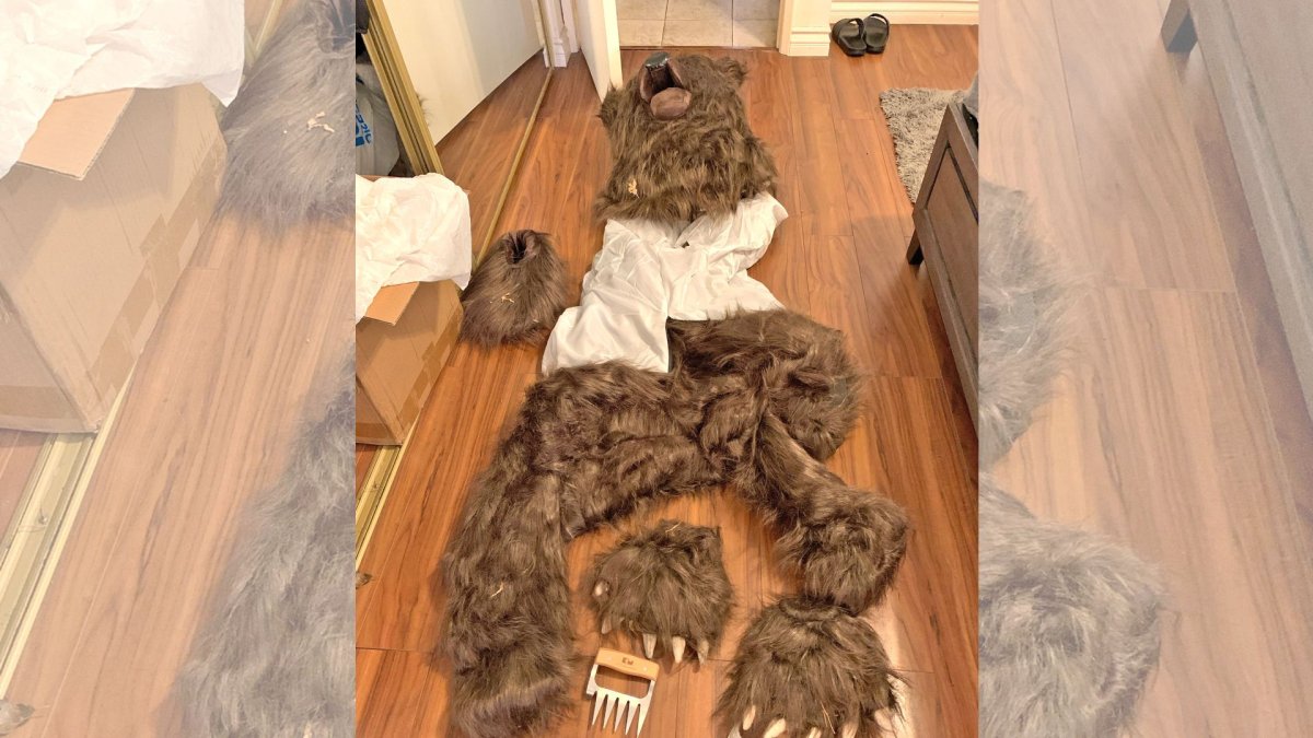 Suspects arrested for faking bear attacks with bear costume – NBC 6 ...