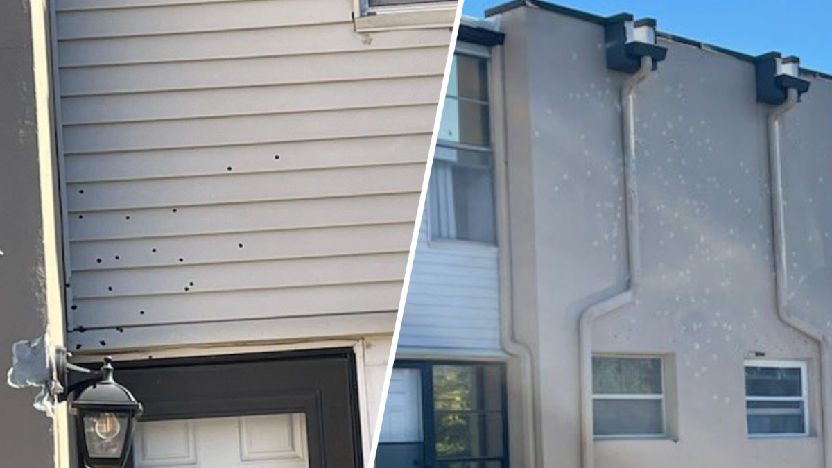 Sniper kills Florida man who fired 200 rounds near Daytona Beach – NBC ...