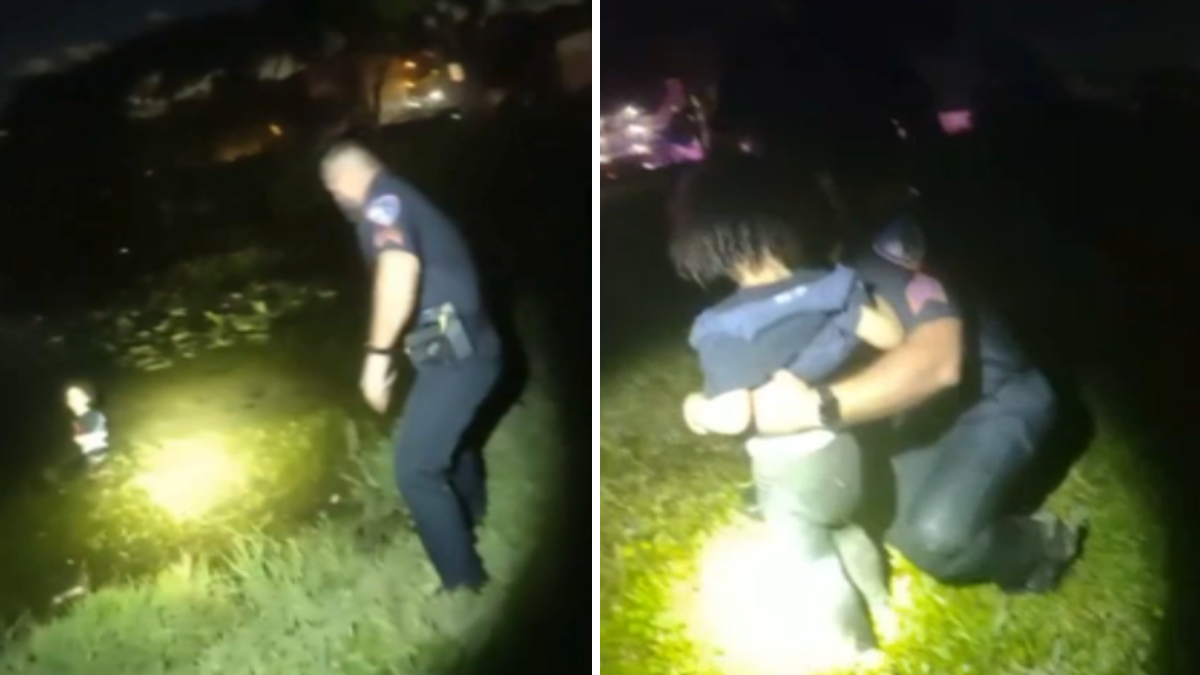 Bodycam shows Lauderhill officers rescuing 3-year-old from lake – NBC 6 ...