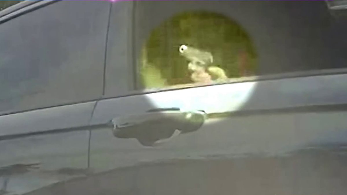 Video shows road-rage driver try to shoot at Tesla in Miami-Dade: Cops ...