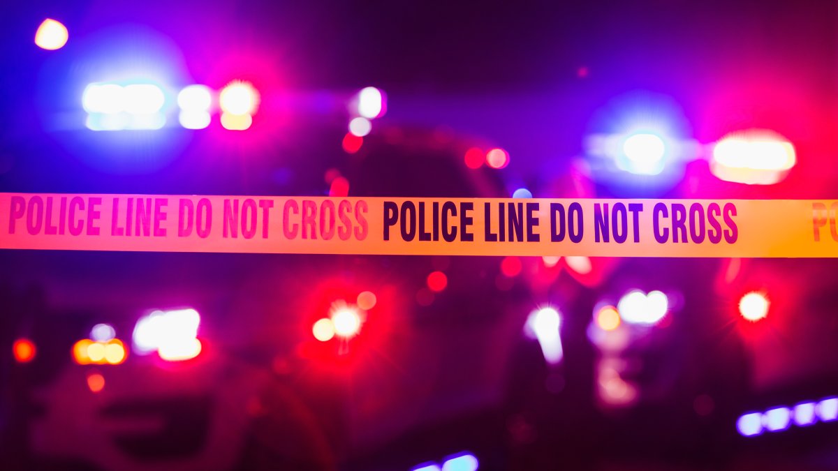 Woman who drunkenly killed new bride in golf cart crashed sentenced to ...