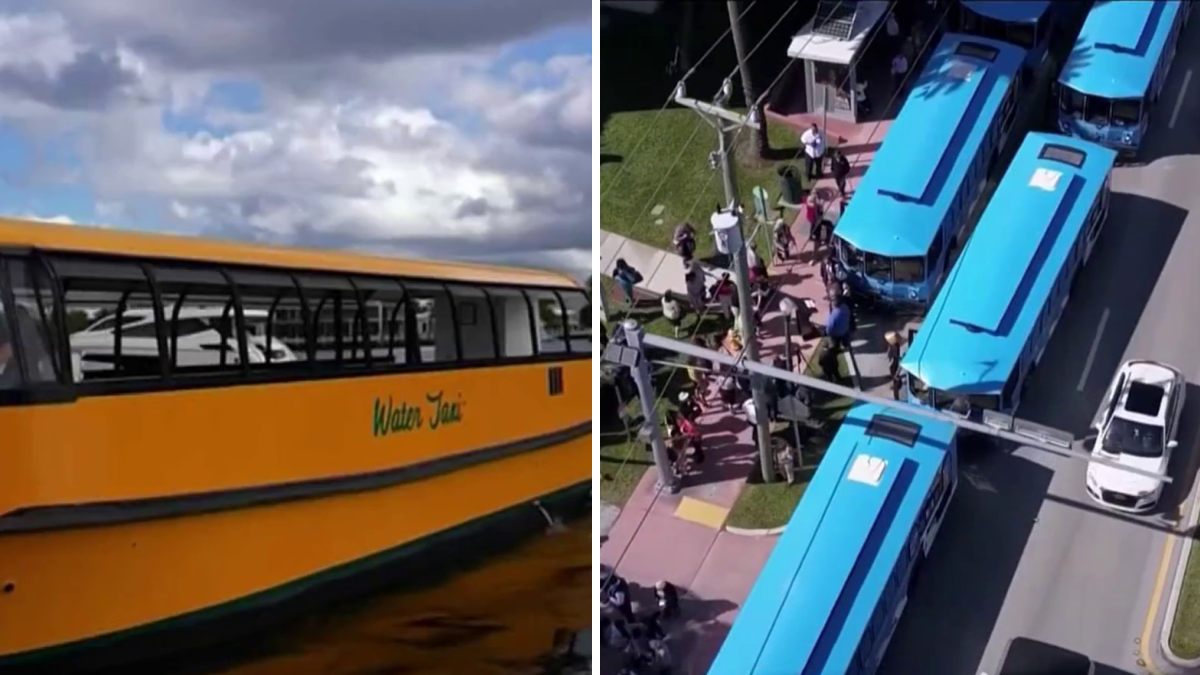 Water taxi, shuttle: Transportation options for Miami Art Week and Art ...