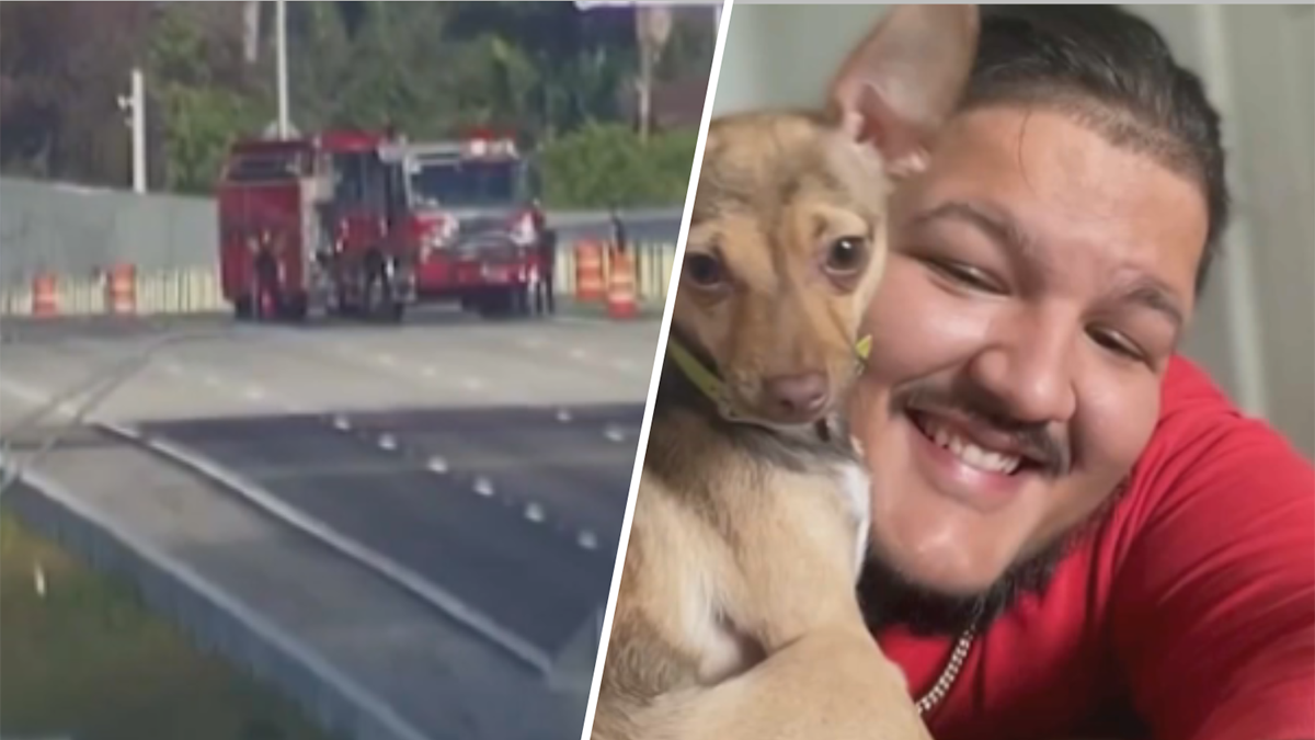 Woman denied bond in New Year’s crash that killed Road Ranger – NBC 6 ...