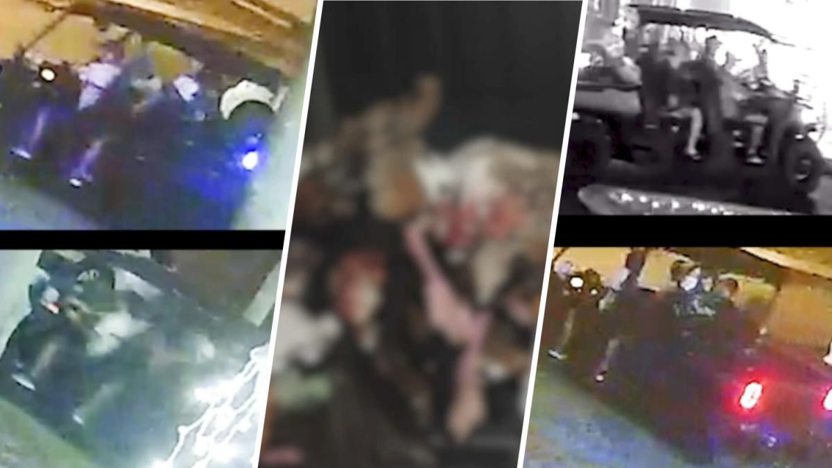 Geese killed in Cooper City by suspects on ATV caught on video – NBC 6 ...