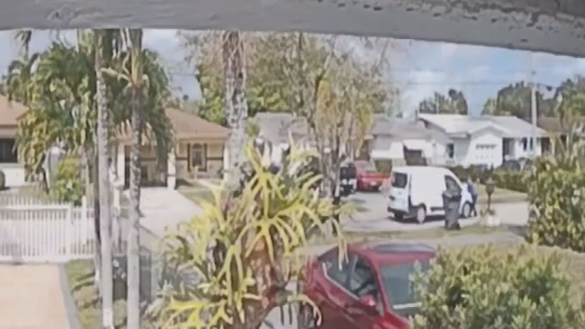 Suspect in custody after carjacking in Hollywood: Police – NBC 6 South ...