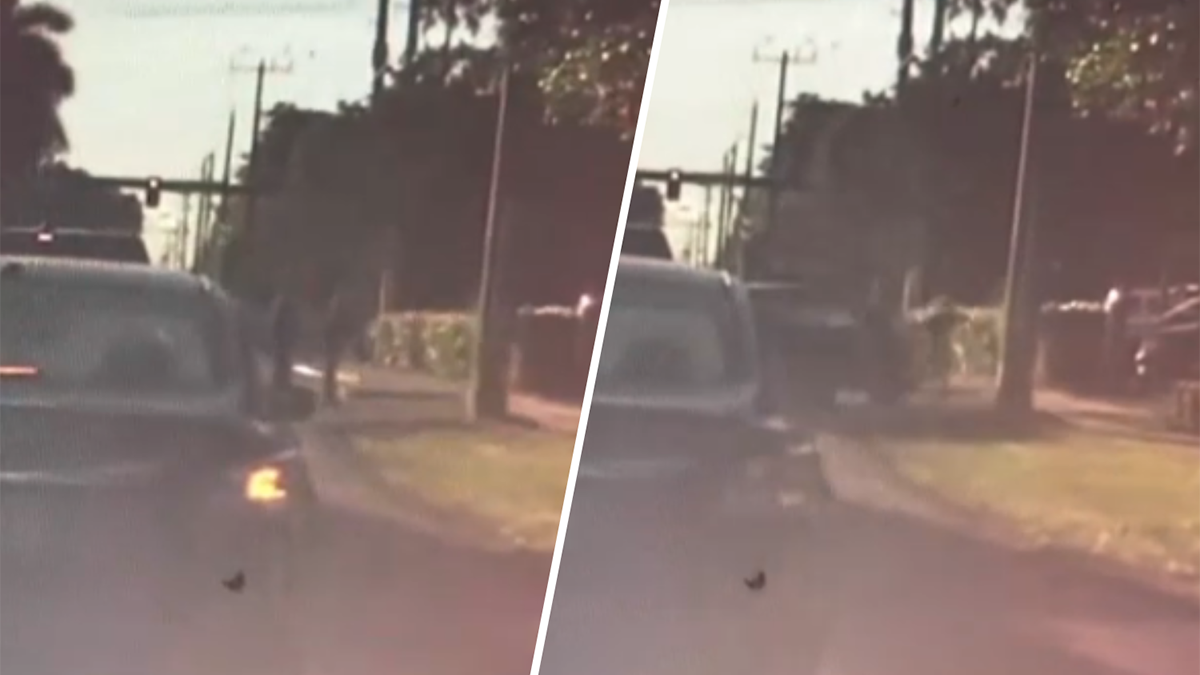 Man faces attempted murder charges after running over Lauderhill cop ...