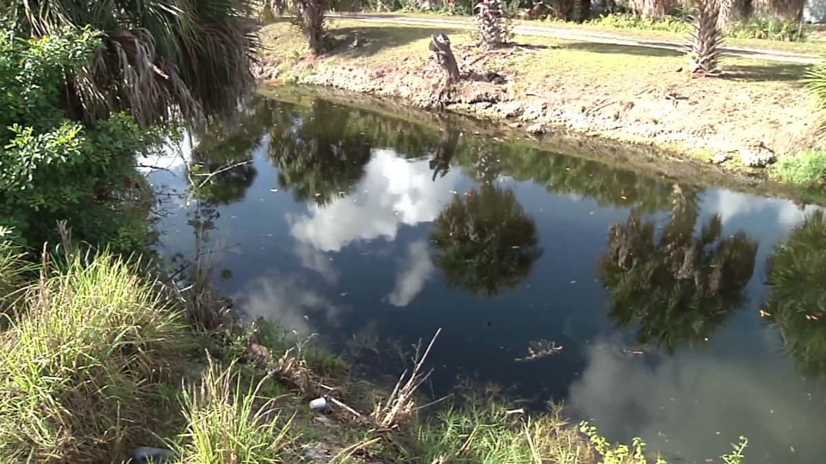 Person hospitalized after being found in canal in Lauderhill – NBC 6 ...