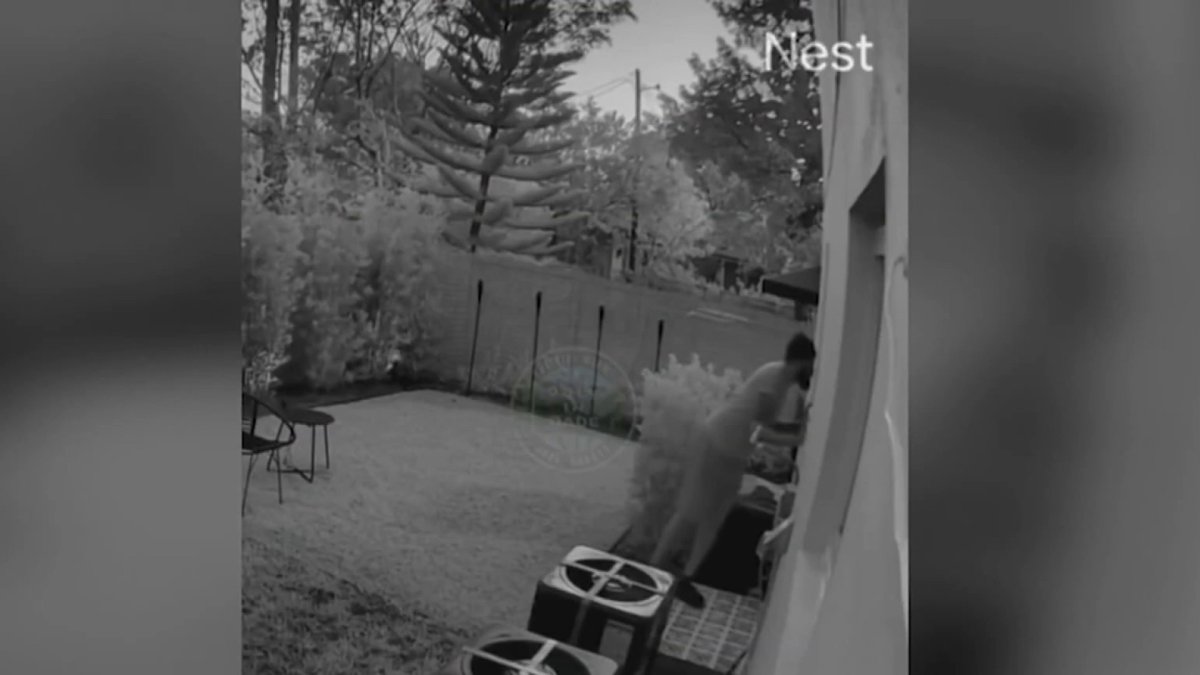 Miami peeping Tom arrested after peering into woman’s window – NBC 6 ...