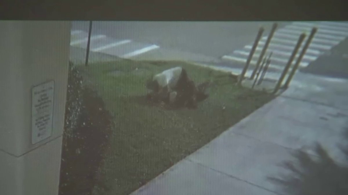 Attempted kidnapping caught on camera outside hospital in South Miami ...