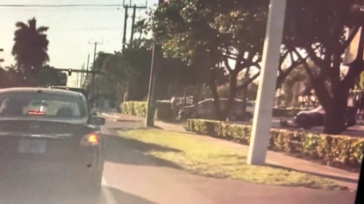 Video shows car intentionally running over Lauderhill Police officer ...