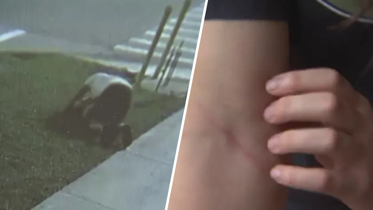 South Miami man accused of attempted kidnappings to stay in jail – NBC ...