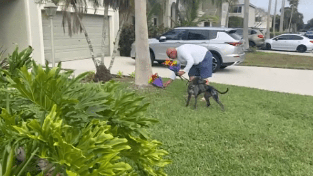 Vigil held for victims in Tamarac triple murder after father abducts ...