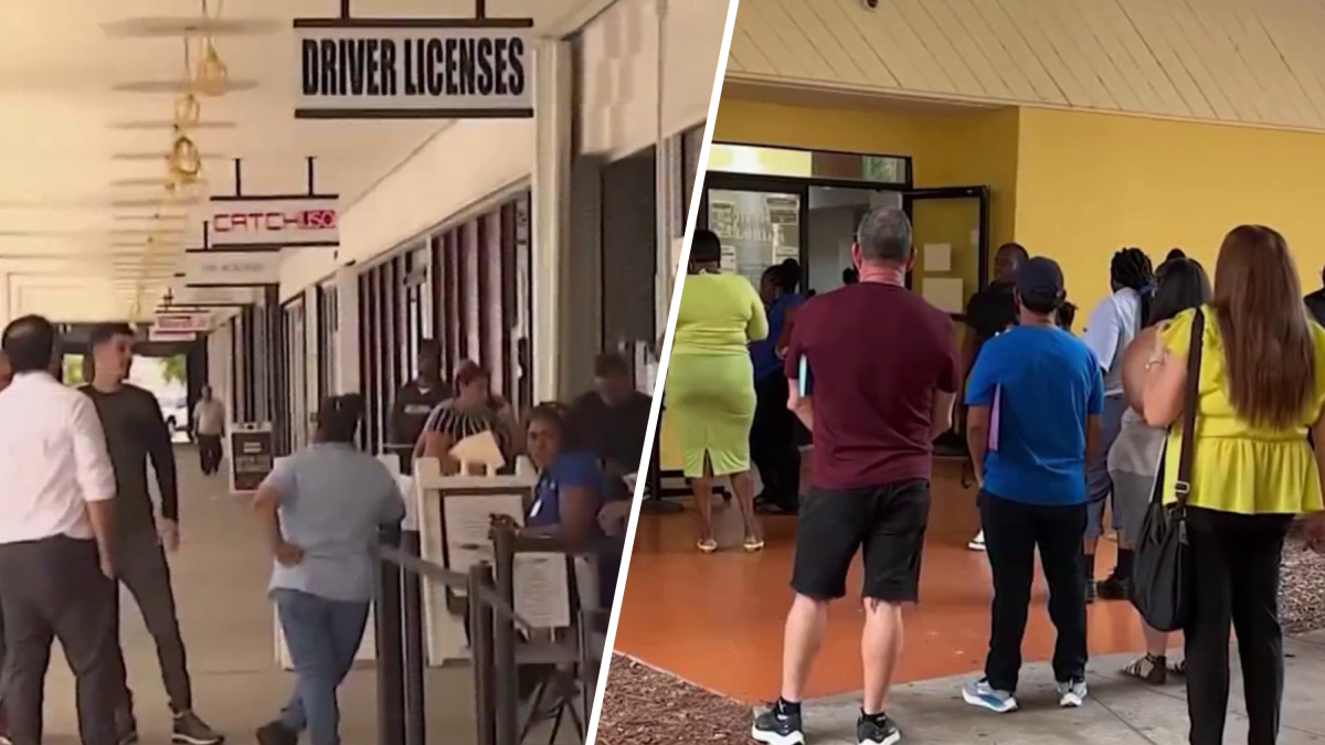 Changes coming to alleviate long lines at Miami DMVs – NBC 6 South Florida