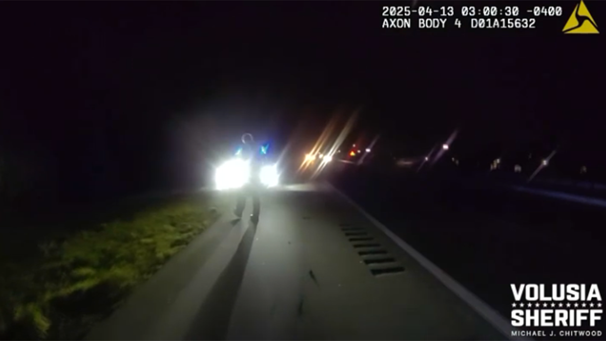 Bodycam video shows SUV nearly hit Florida deputy, FHP trooper – NBC 6 ...