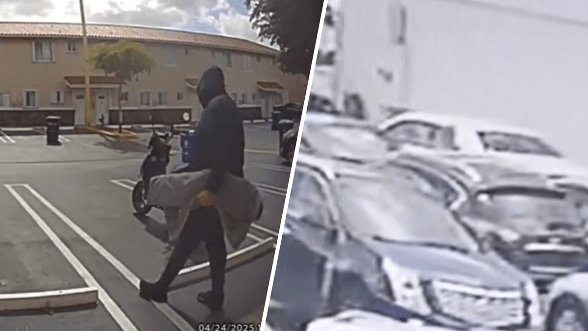 New videos show car dealership shooting suspect with rifle, deputy ...