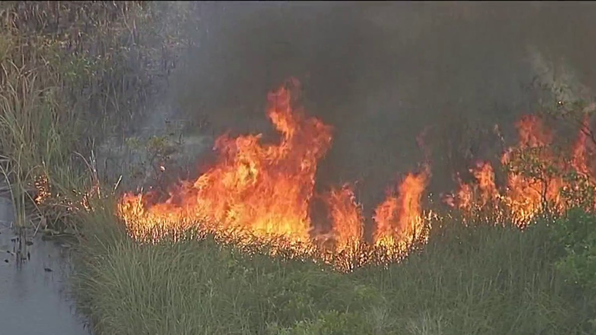 Brush fire burns Thursday, consumes 200 acres near Weston – NBC 6 South ...