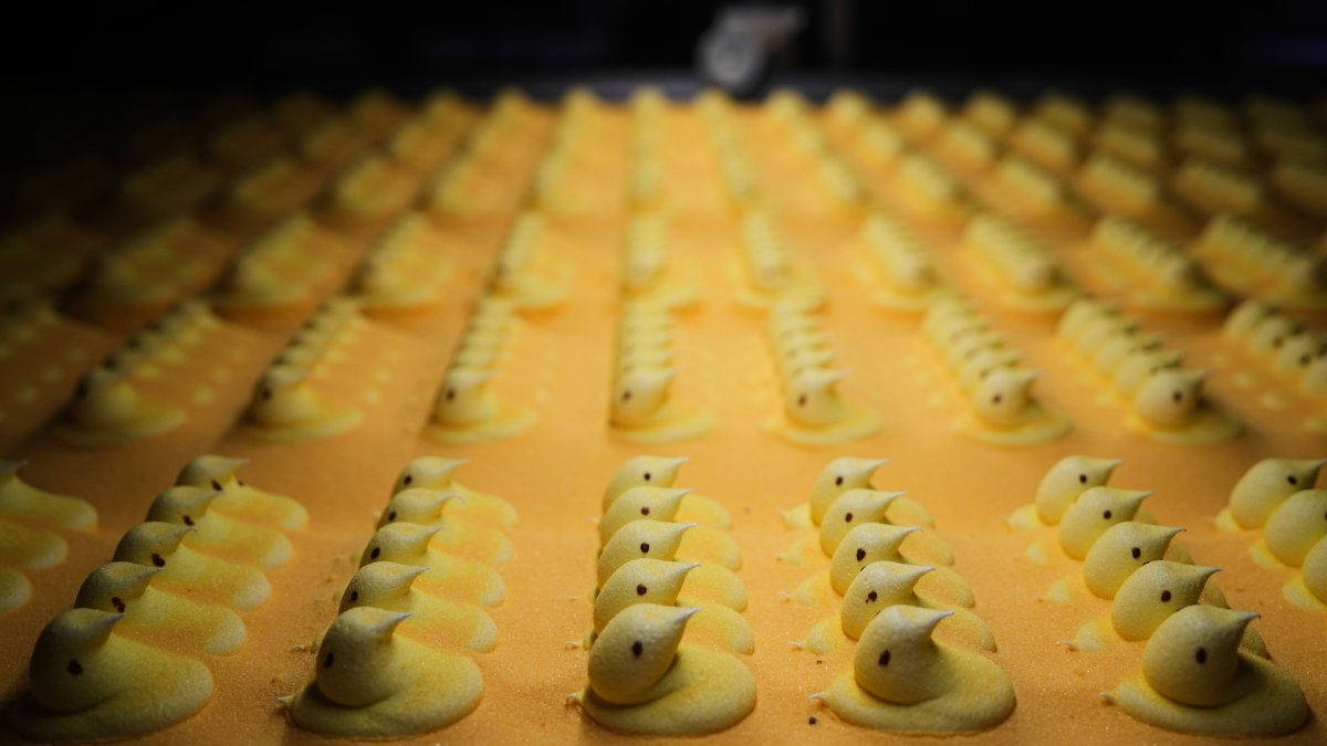 Love ’em or hate ’em, Peeps are back for Easter – NBC 6 South Florida