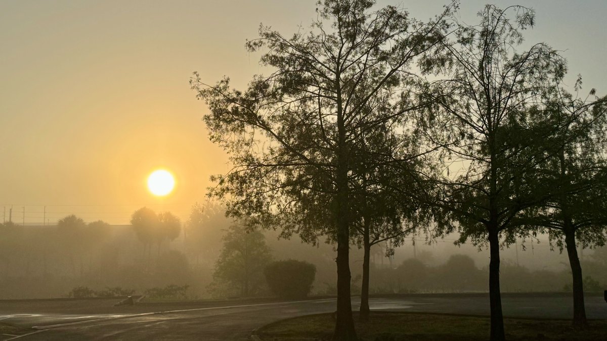 Patchy fog in Miami and South Florida on Tuesday – NBC 6 South Florida