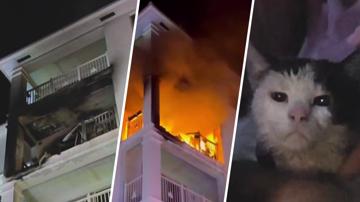 Man, pet cat escape fire at Fort Lauderdale high-rise – NBC 6 South Florida