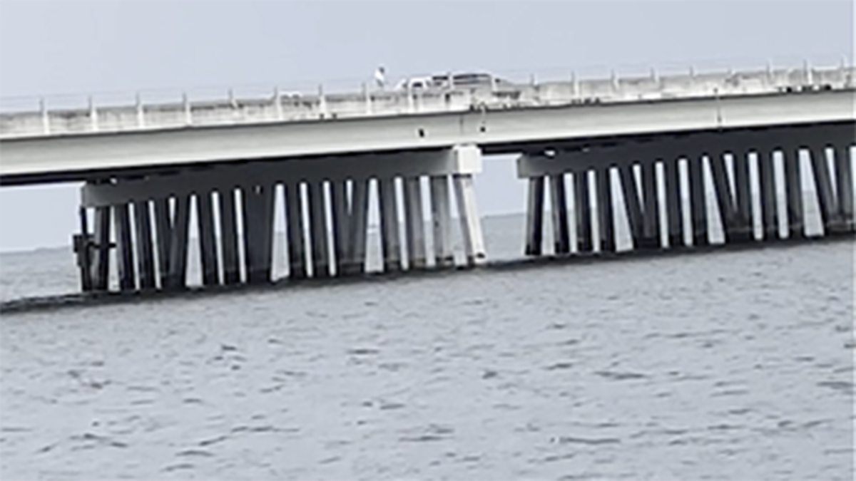 Florida man accused of murder-for-hire plot involving alleged sex-slave ...