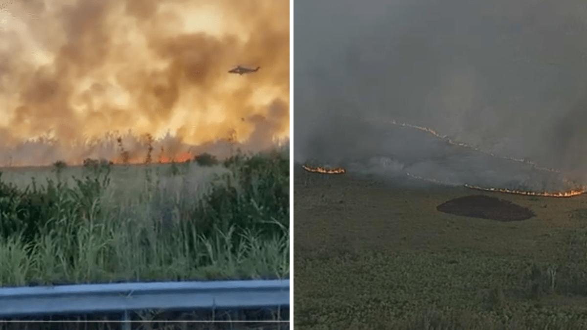 Brush fire burns in southern Miami-Dade, 18-Mile Stretch and Card Sound ...