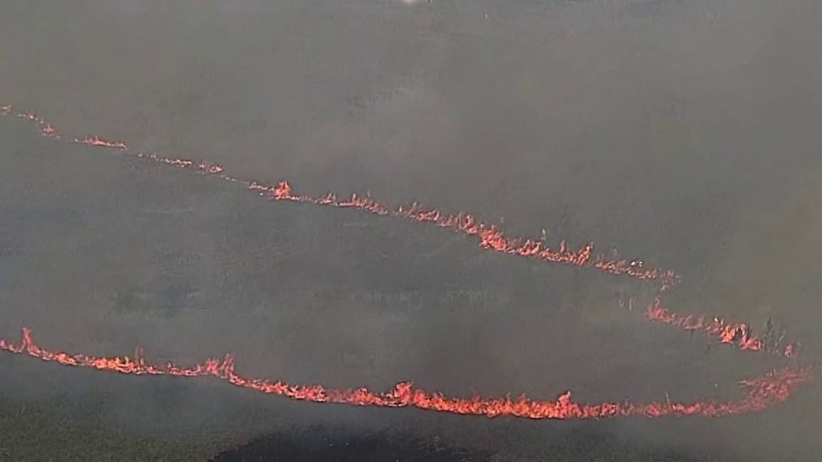 Brush fire burns in southern Miami-Dade, part of Card Sound Road closed ...