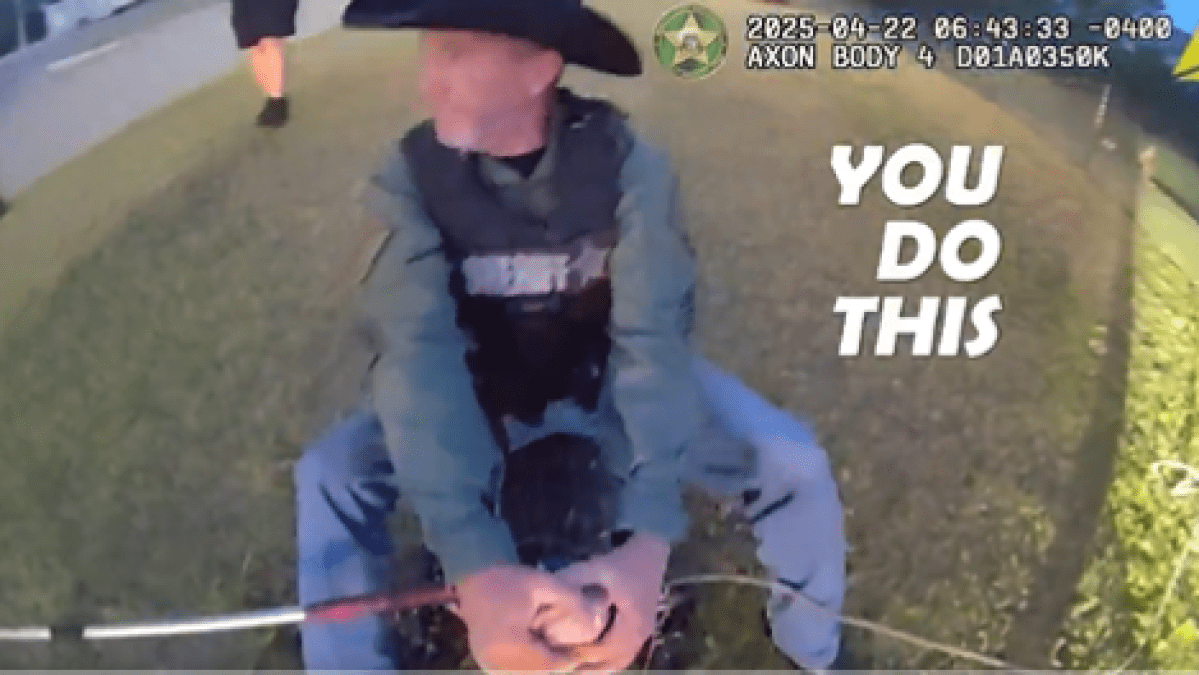 Florida deputy in cowboy hat wrangles gator on high school campus – NBC ...