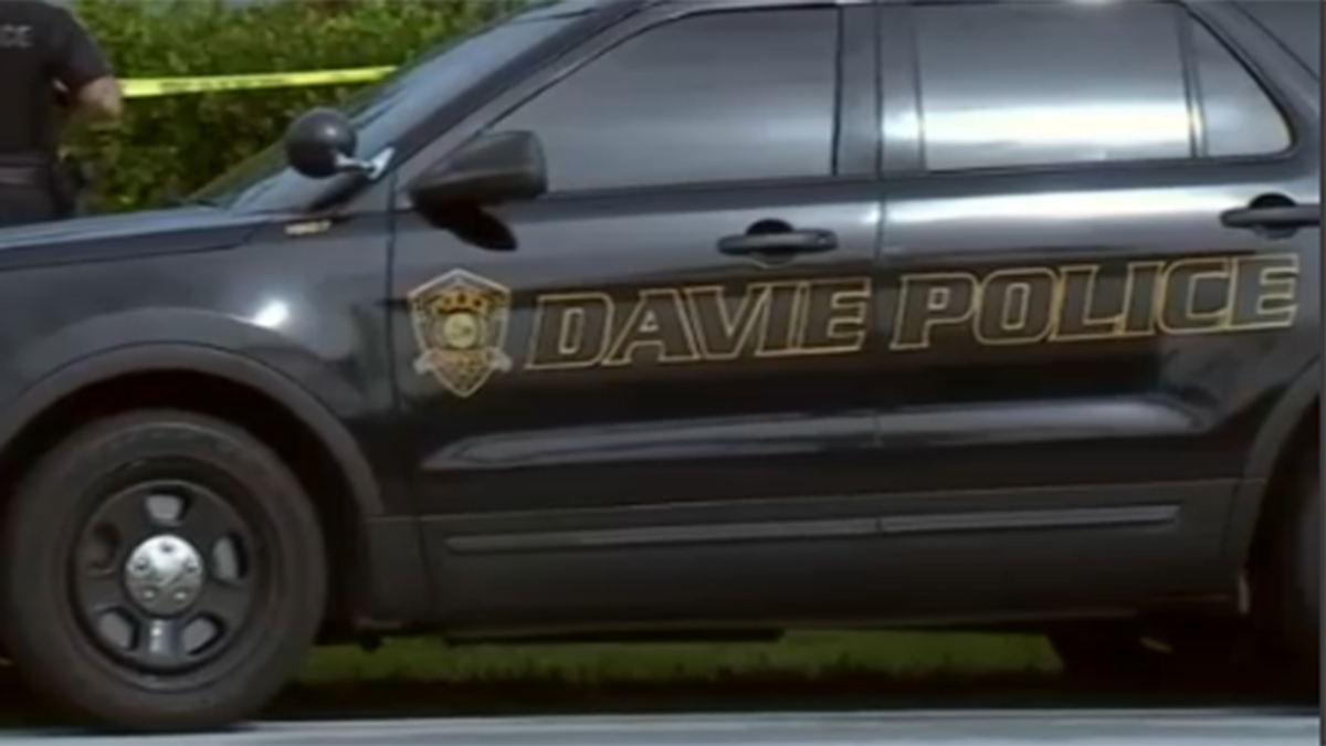 Pair arrested after cockfighting bust at Davie home: Police – NBC 6 ...