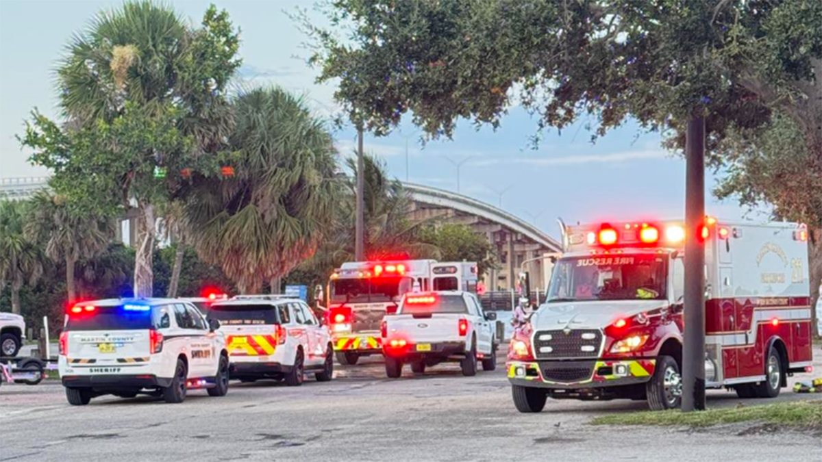 Alligator bites woman, pulls her under water in Florida river: Sheriff ...