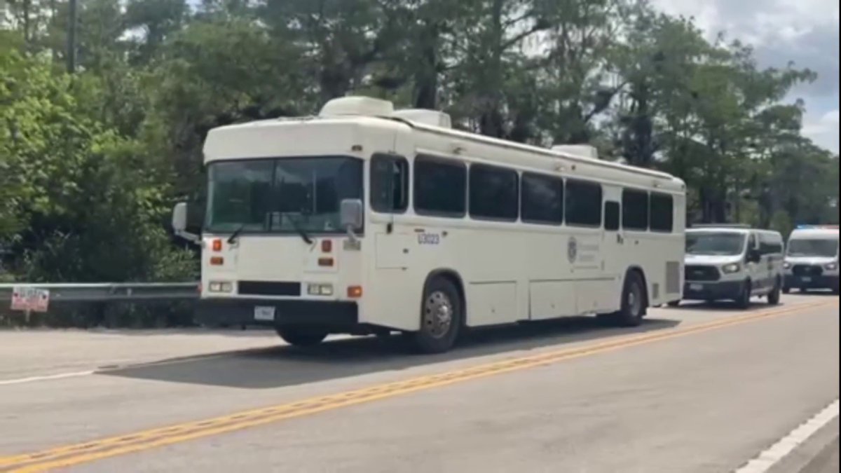 Video shows Department of Homeland Security bus arriving at ‘Alligator ...