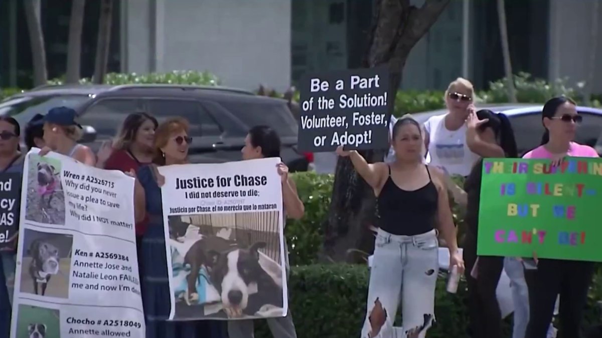 Demonstrators gather outside Miami-Dade Animal shelter to protests poor ...