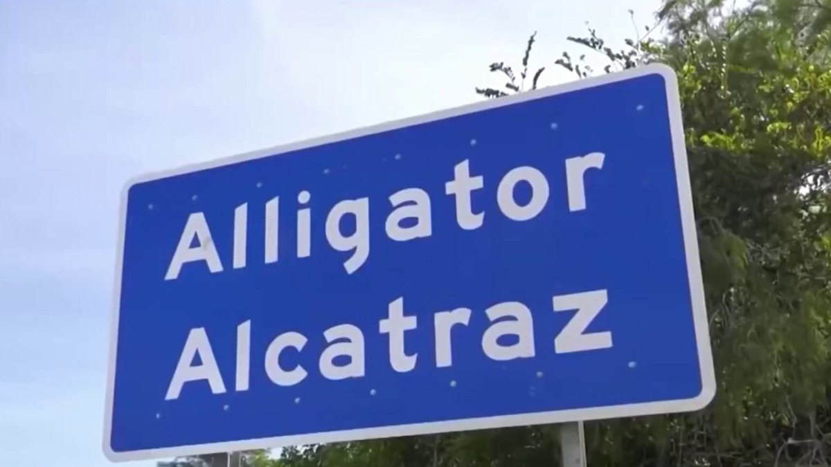‘Alligator Alcatraz’ detainees on hunger strike to protest conditions ...