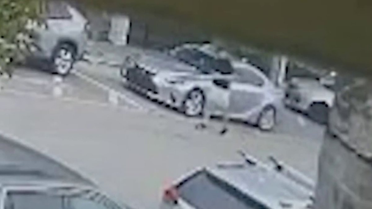 Suspect had ‘psychotic break’ before hit-and-run that killed pedestrian ...