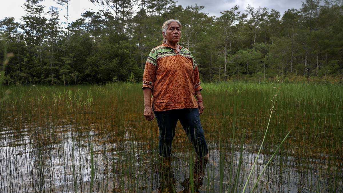 Miccosukee Tribe members seek to challenge ‘Alligator Alcatraz’ – NBC 6 ...