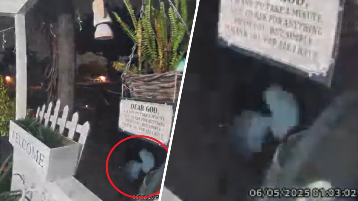 Woman’s Ring camera captures alien-like creature outside home – NBC 6 ...