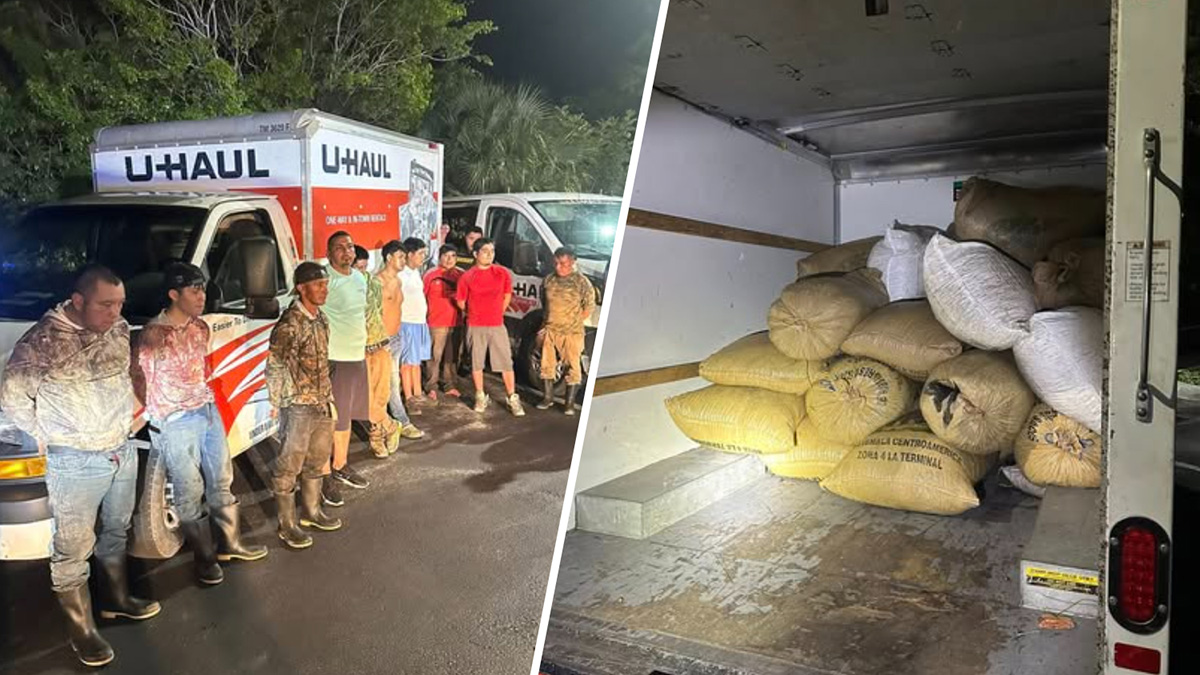 11 arrested after 6,000-pound berry heist foiled in Florida: Sheriff ...