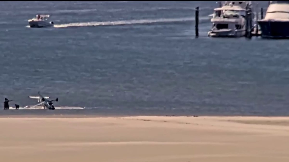 Banner plane crashes on sandbar in Florida – NBC 6 South Florida