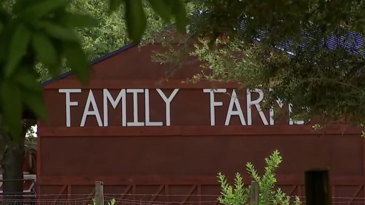 Family Farms owner hopes to get his animals back as he faces cruelty ...