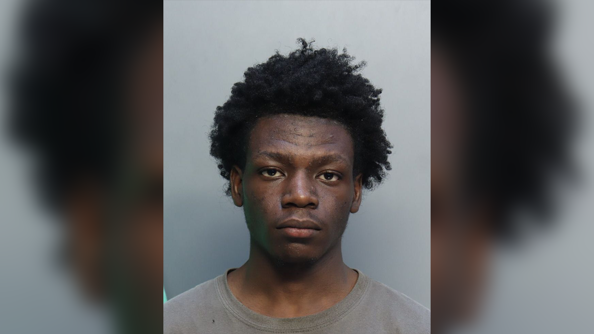 Man accused of stealing car in Coral Gables appears in court – NBC 6 ...