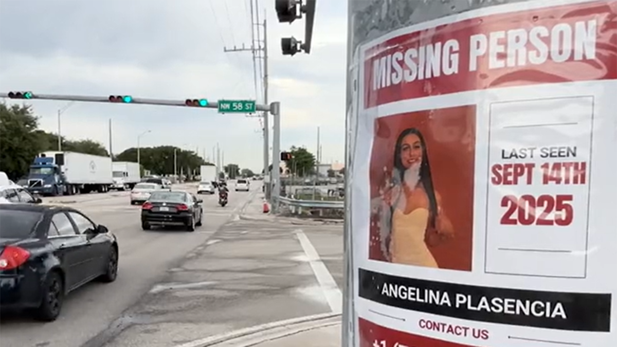 Angelina Plasencia’s body found in canal after Miami-Dade crashes – NBC ...