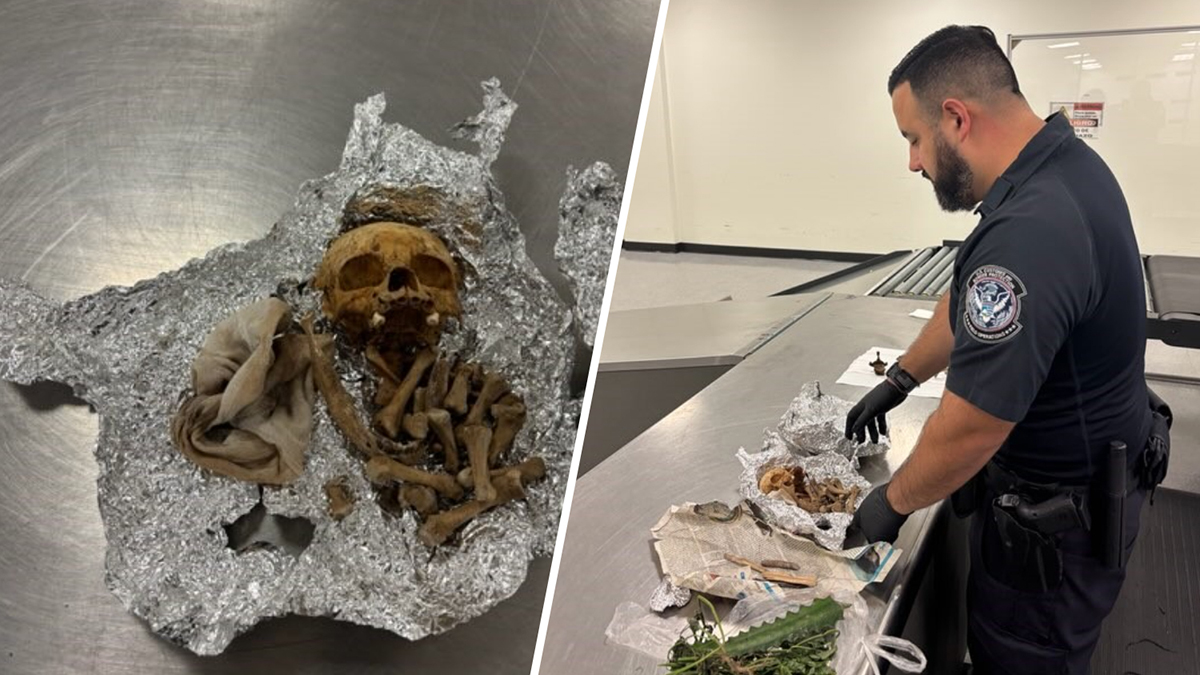 Human remains found in baggage at Tampa airport were ‘for rituals’: CBP ...